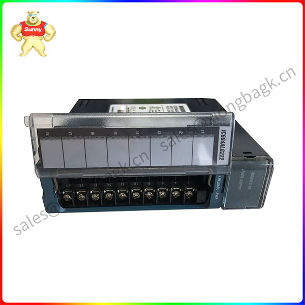 IC694ALG222 GE 16 channel analog voltage input module - GE Xiamen xiongba e-commerce Co., Ltd.