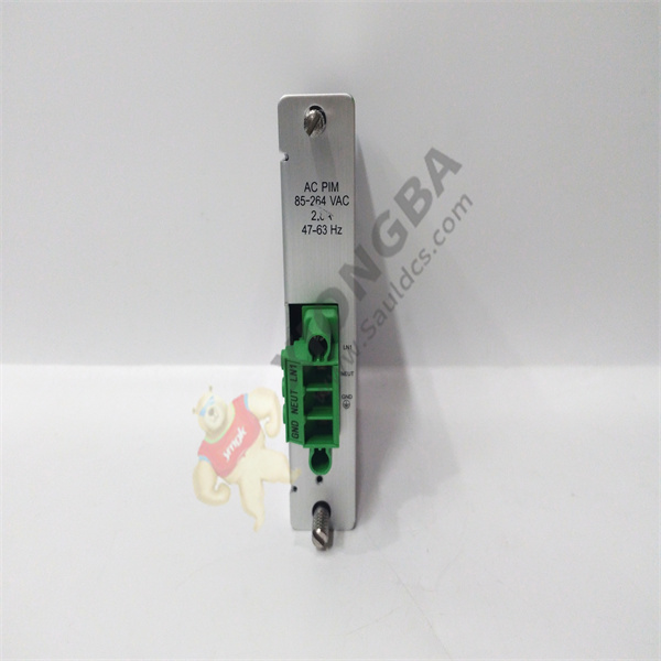 106M1081-01 Bently Nevada Universal AC Power Input Module - Bently ...